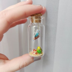Two Cute Budgies in a Glass-bottle / Unique Miniature Figure/ Handmade ...