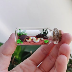 Tiny Cute Ball Python in a Glass-bottle / Unique Miniature Figure ...