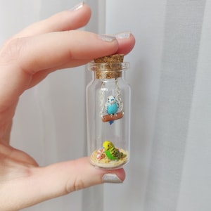 Two Cute Budgies in a Glass-bottle / Unique Miniature Figure/ Handmade ...