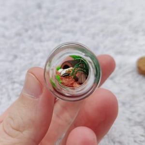 Tiny Cute Ball Python in a Glass-bottle / Unique Miniature Figure ...