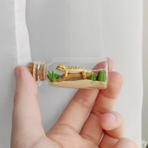 Tiny Cute Bearded Dragon in a Glass-bottle / Unique Miniature Figure ...