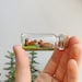 Capybara With Little Baby in a Glass-bottle / Unique Miniature Figure ...