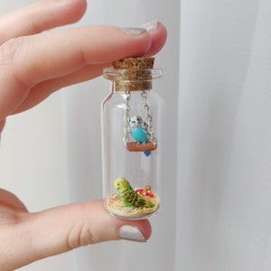 Two Cute Budgies in a Glass-bottle / Unique Miniature Figure/ Handmade ...