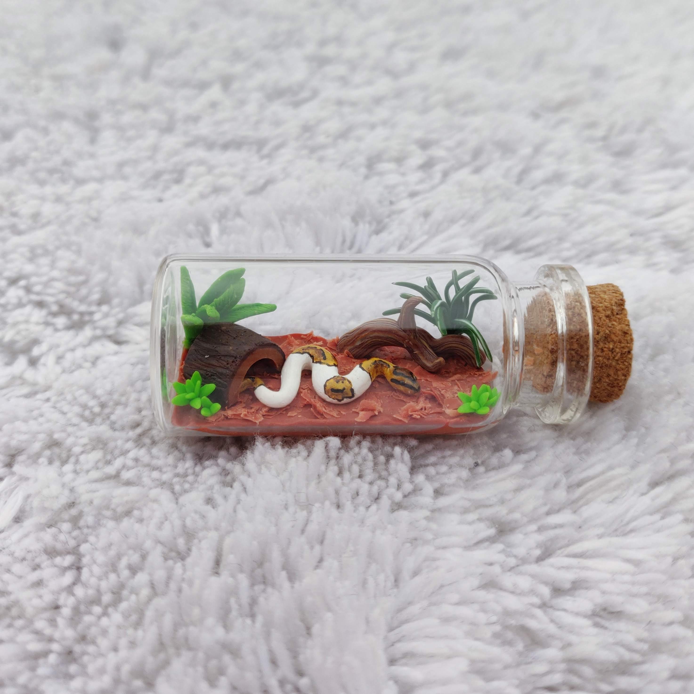 Tiny Cute Ball Python in a Glass-bottle / Unique Miniature Figure ...