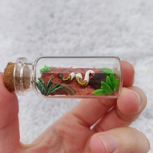 Tiny Cute Ball Python in a Glass-bottle / Unique Miniature Figure ...