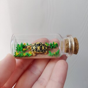 Indian Start Tortoise in a Glass-bottle / Unique Miniature Figure ...