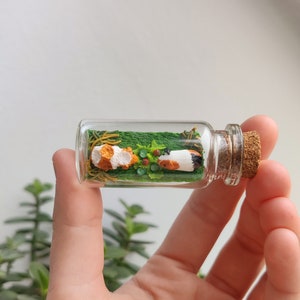 Two Cute Guinea Pigs in a Glass-bottle / Unique Miniature Figure ...