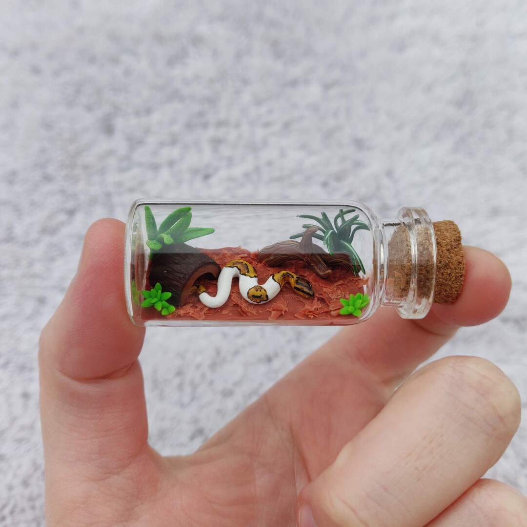 Tiny Cute Ball Python in a Glass-bottle / Unique Miniature Figure ...