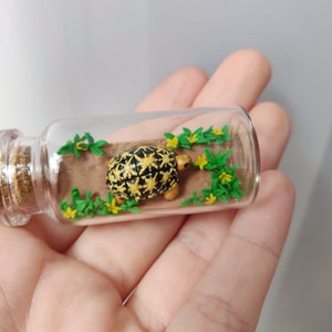 Indian Start Tortoise in a Glass-bottle / Unique Miniature Figure ...