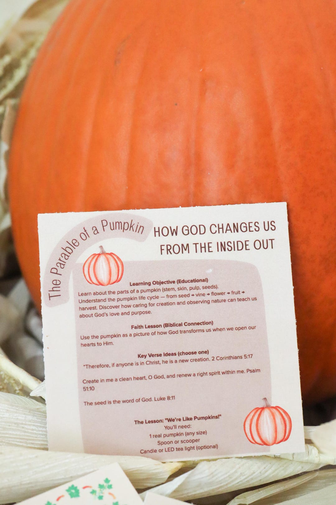 The Parable of the Pumpkin - Pumpkin Carving Project - Etsy