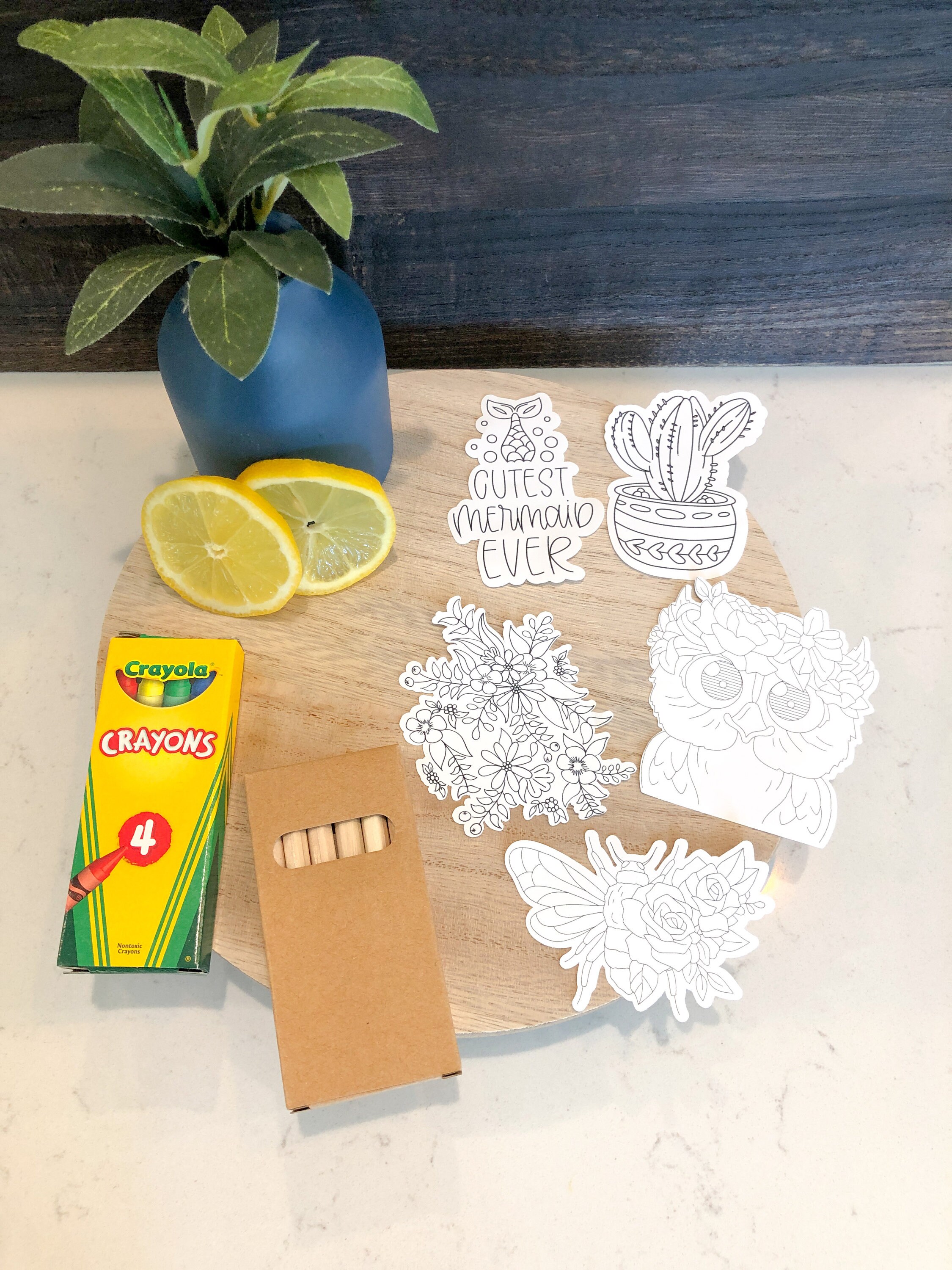 Colorable Stickers Color Your Own Stickers Kids Birthday - Etsy