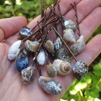 Seashell Bridal Hair Vine With Pearls and Starfish - Beach Wedding Hair ...
