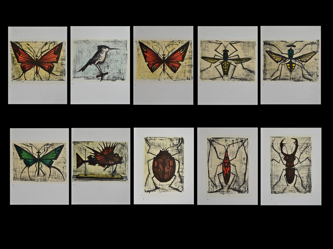 Bernard BUFFET : the Insects, 10 LITHOGRAPHS, 1967 by MOURLOT - Etsy