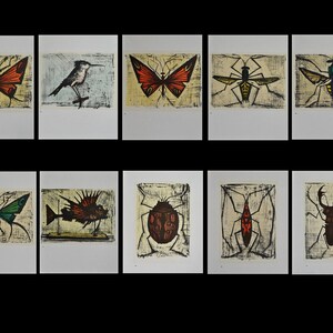 Bernard BUFFET : the Insects, 10 LITHOGRAPHS, 1967 by MOURLOT - Etsy