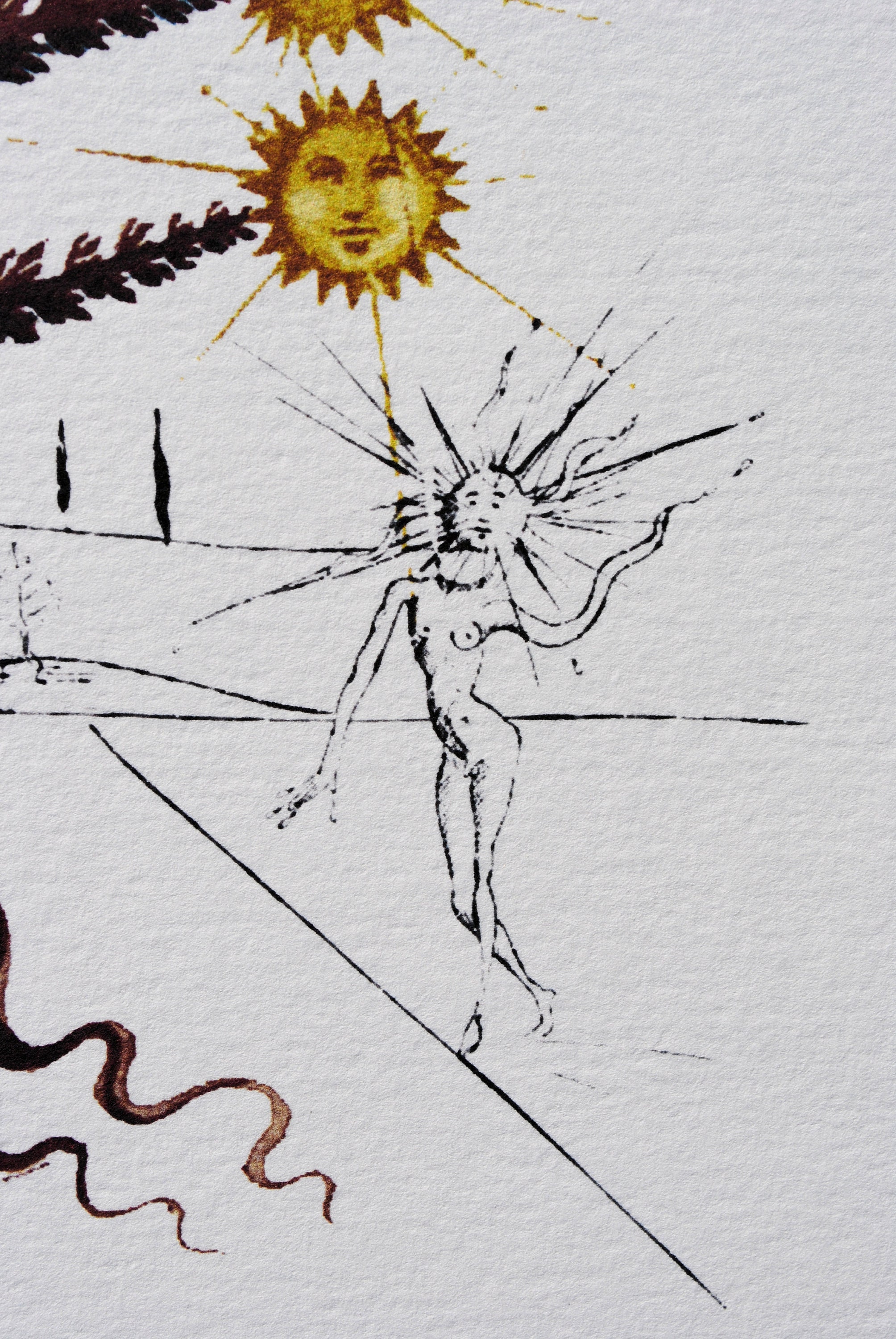 Salvador DALI : the Sun Tree Signed LITHOGRAPH 800 Copies | Etsy