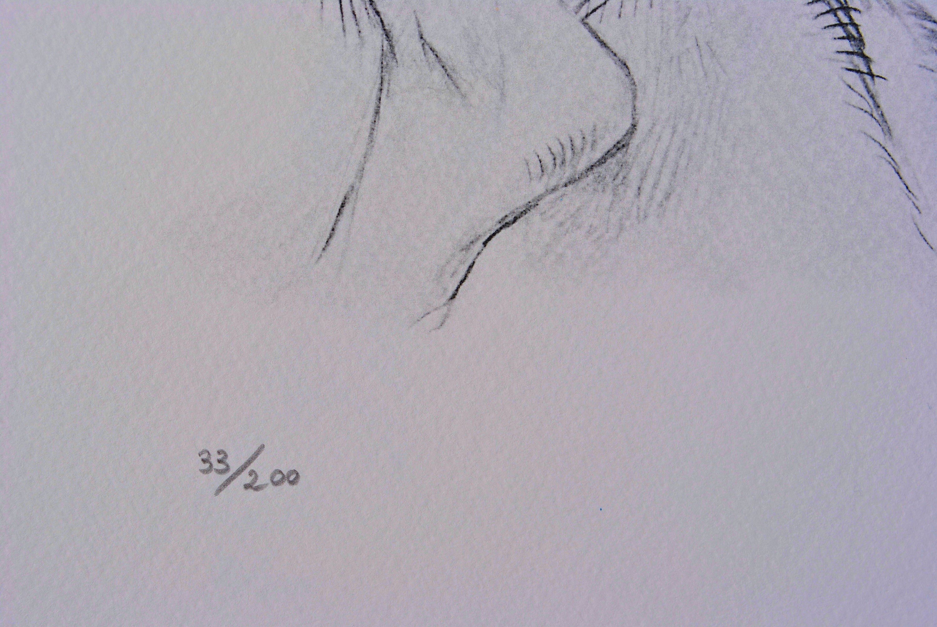 Paolo SERPIERI : the Sleeping Indian Girl Erotic Signed - Etsy