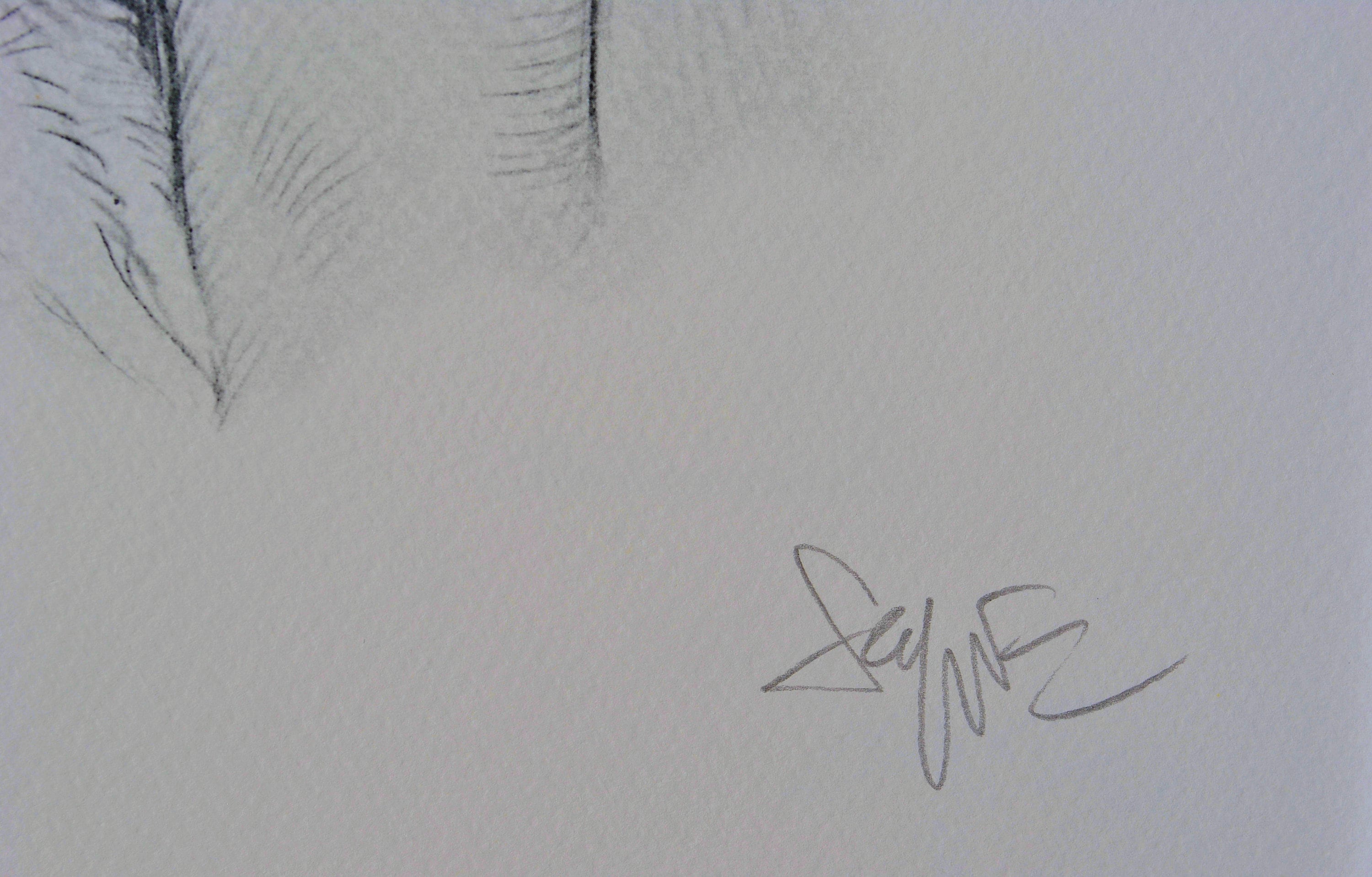 Paolo SERPIERI : the Sleeping Indian Girl Erotic Signed - Etsy