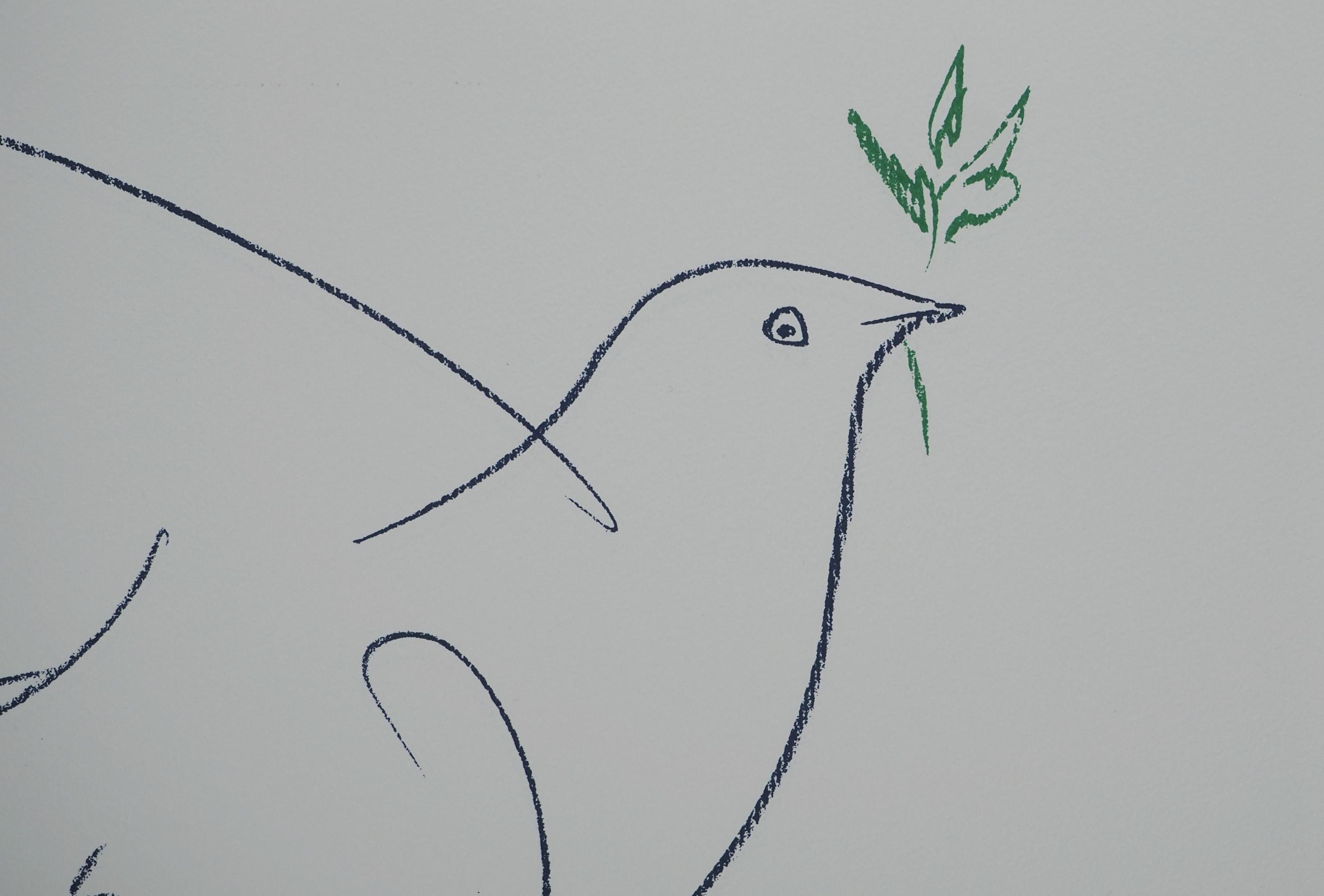 Pablo PICASSO - the Blue Dove - Signed Lithograph - Colorful Peace ...