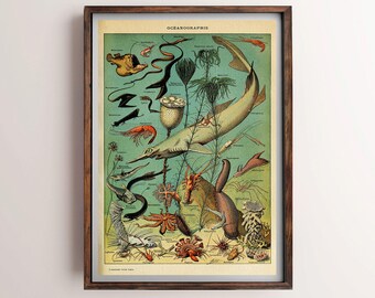Marine Biology Print Set Of 4 Bathroom Decor Poster | Etsy
