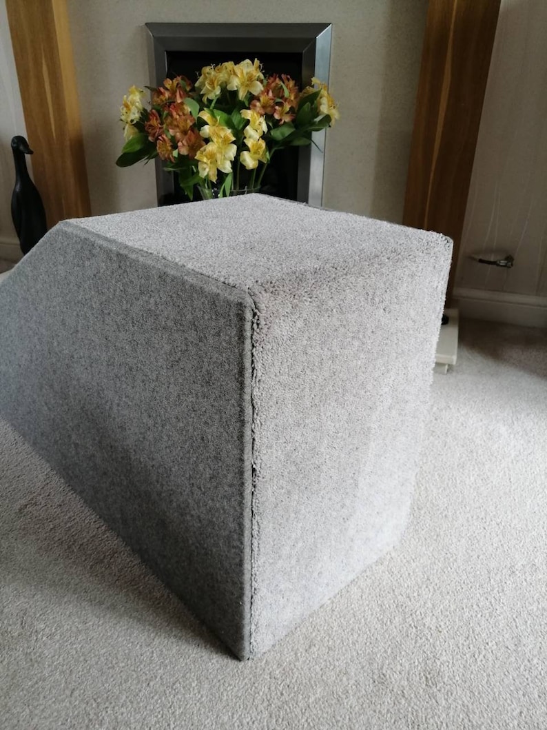 40cm H X 100cm L Pet Ramp With Extended Top Platform for - Etsy UK