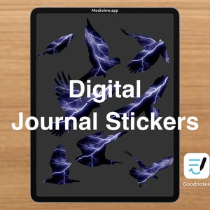 Lightning Birds Digital Sticker Sheet, PNG, Goodnotes, Pre-cropped - Etsy