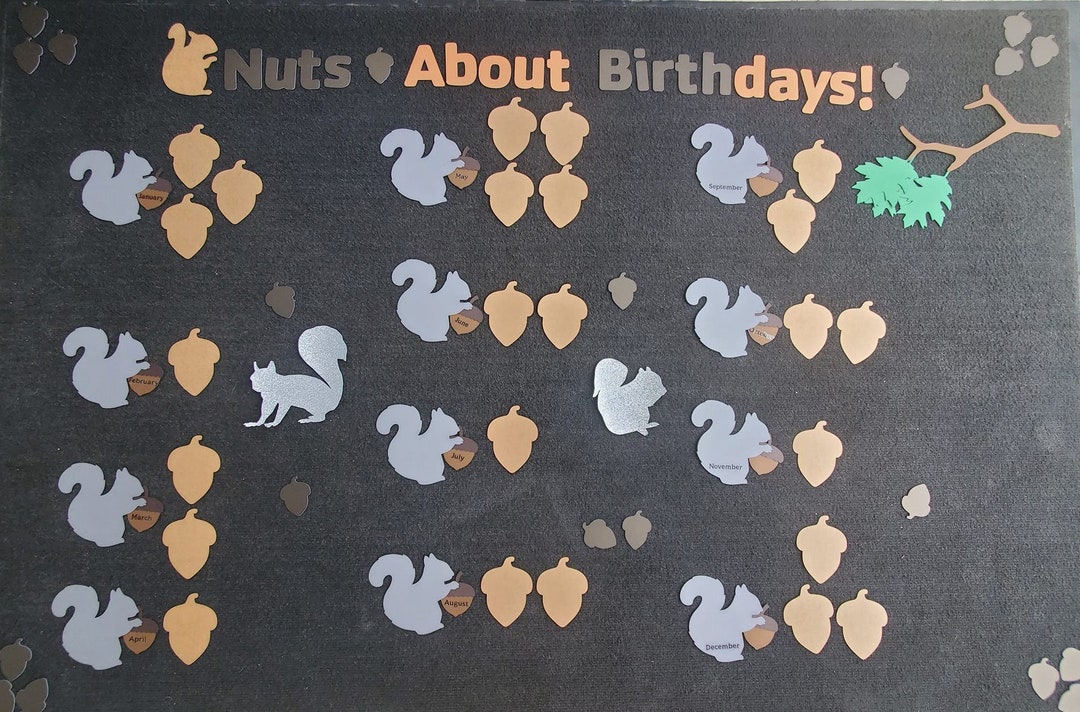 Nuts About Birthdays Bulletin Board Kit - Etsy