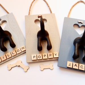 Personalised Dog Lead and Collar Hook Fun Dogs Bottom Lead or Coat ...