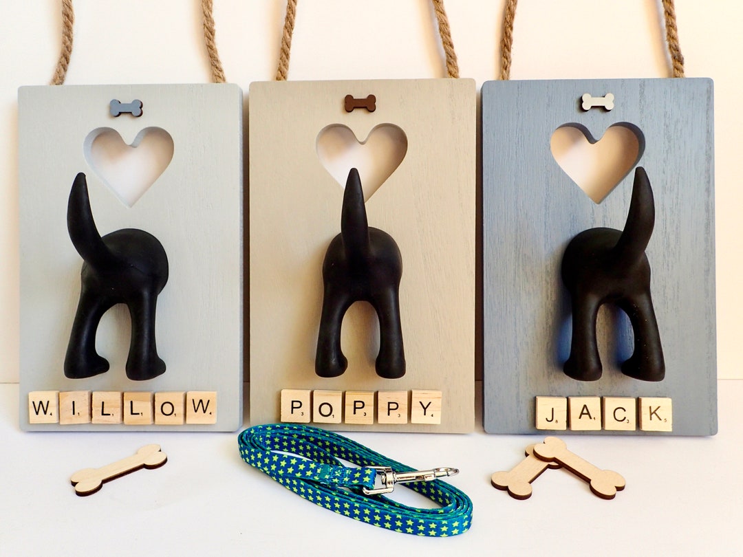 Personalised Dog Lead and Collar Hook Fun Dogs Bottom Lead or Coat ...