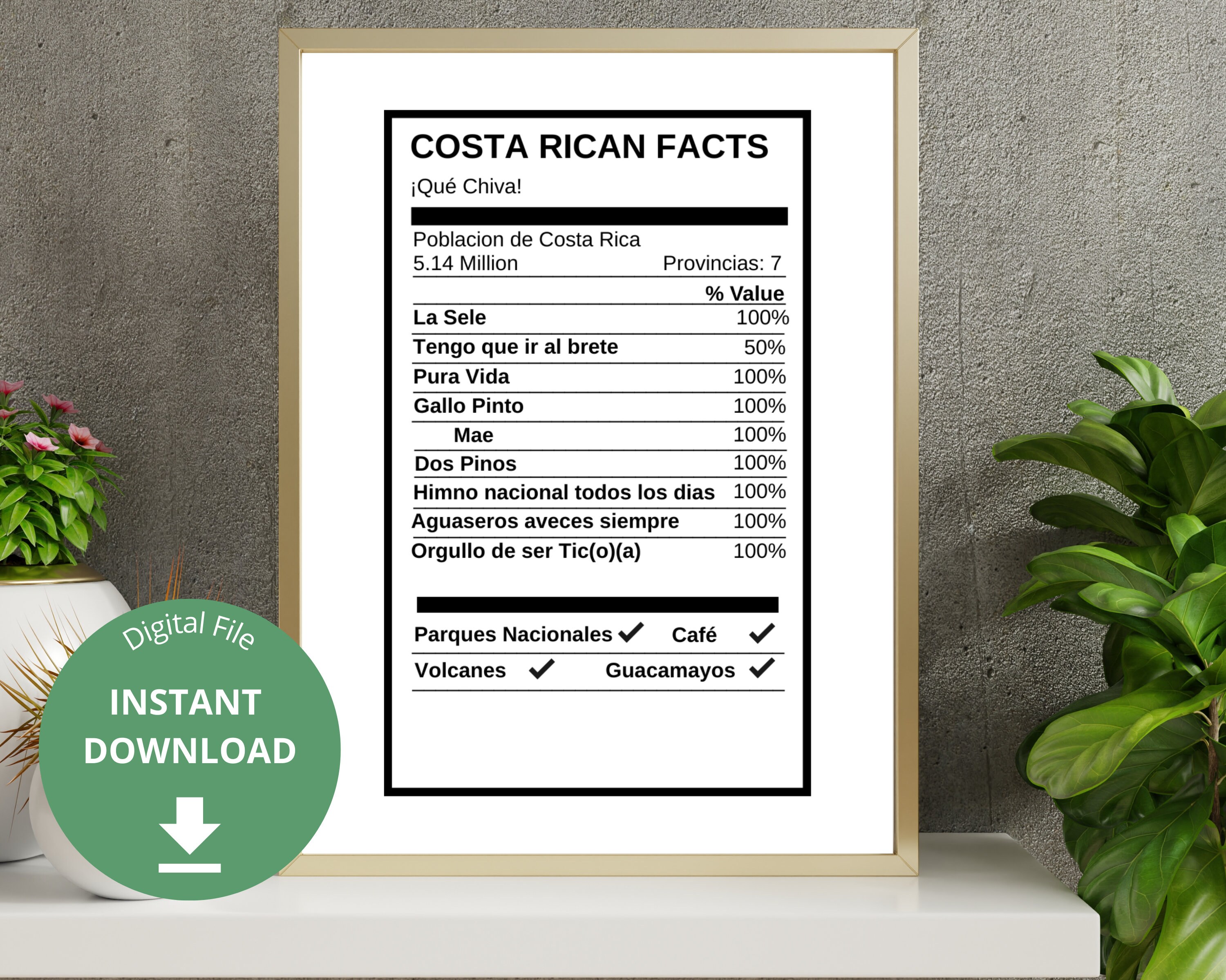 Costa Rica Funny Facts Nutritional Style Table | Digital Wall Decor ...