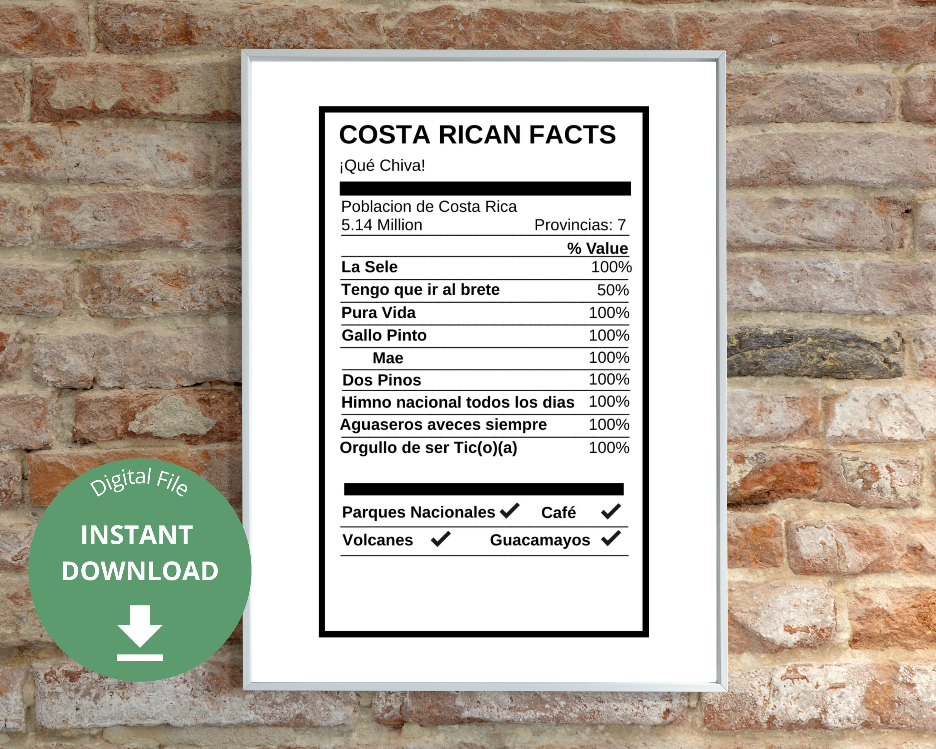 Costa Rica Funny Facts Nutritional Style Table | Digital Wall Decor ...