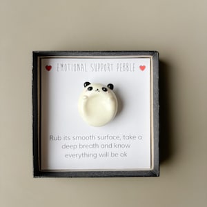 Emotional Support Pebble, Worry Stones, Pocket Hug, Cute Keepsake ...