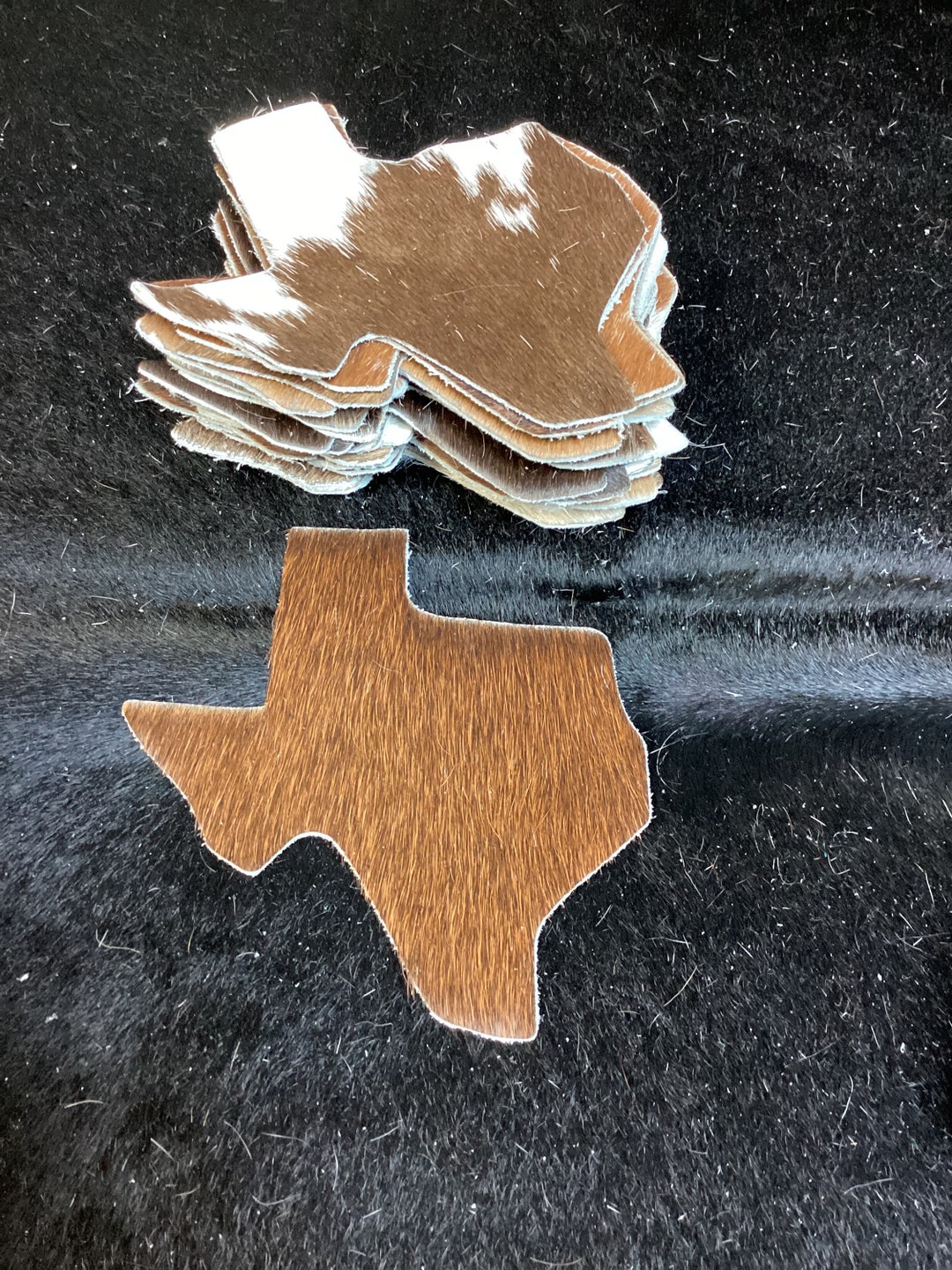 Genuine Cowhide Coasters: TEXAS MAP COWHIDE Coaster Assorted Mix ...