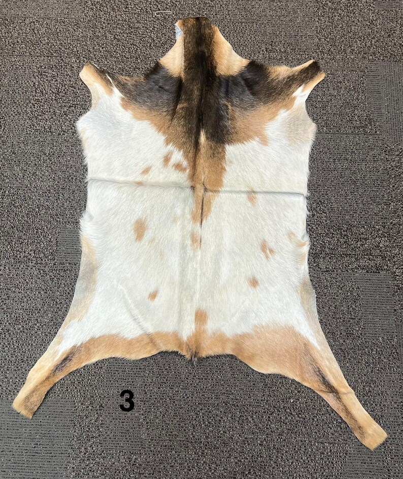 Genuine Goatskin Hide, Goat Skin Rug-size 2x3' - Etsy