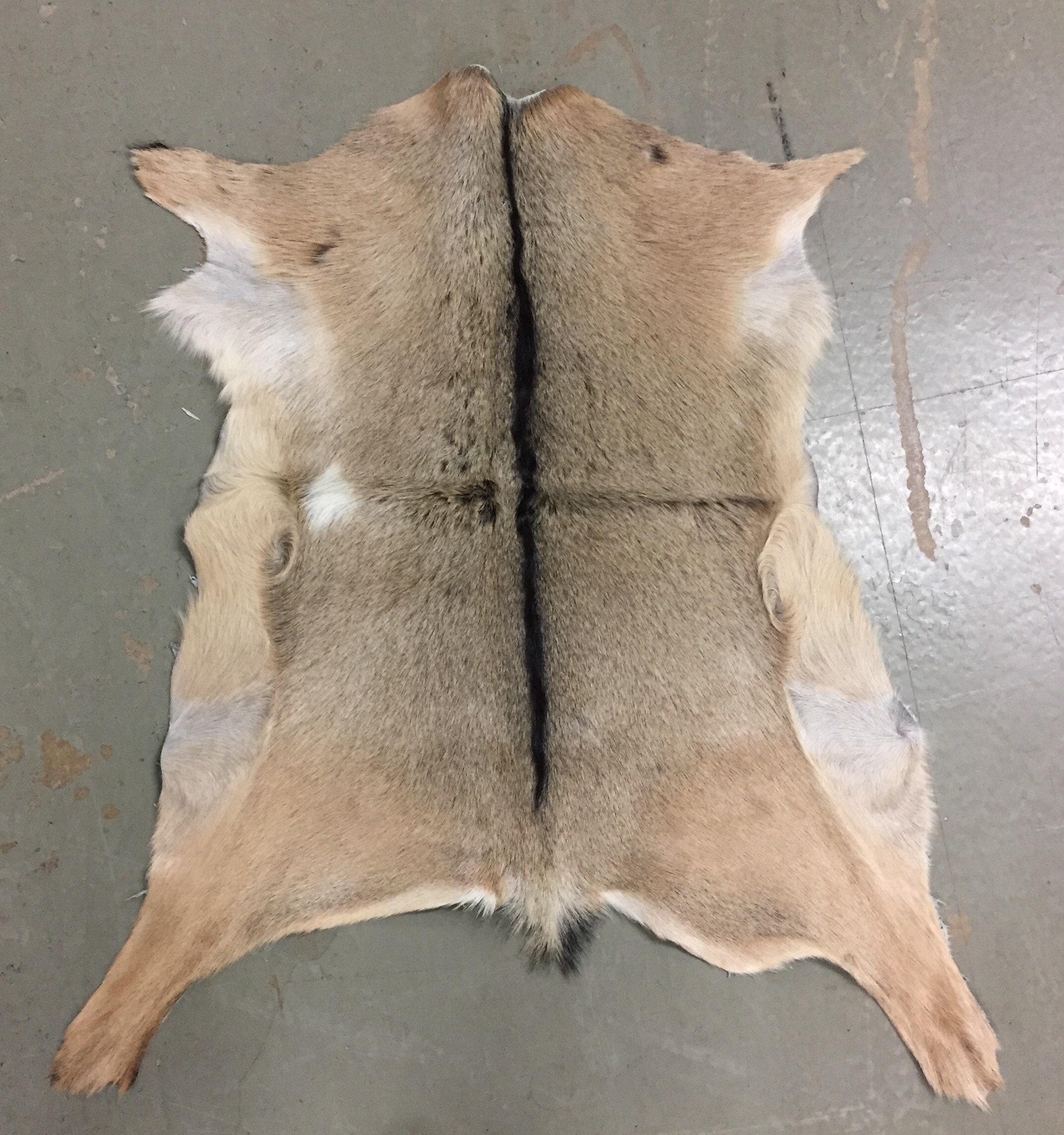 Golden Brown Goatskin Rug | FREE SHIPPING