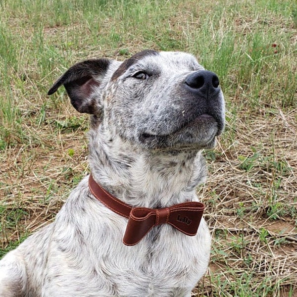 Wedding Dog Collars - Etsy