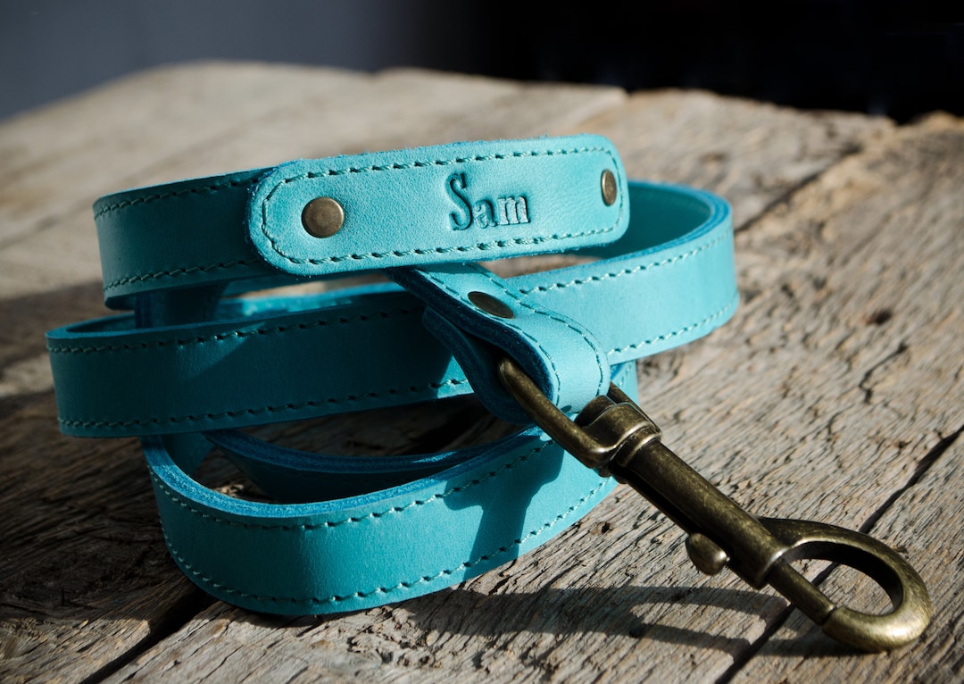 Personalized Pet Leash Engraving Dog Leash Custom Dog Accessories Pet ...