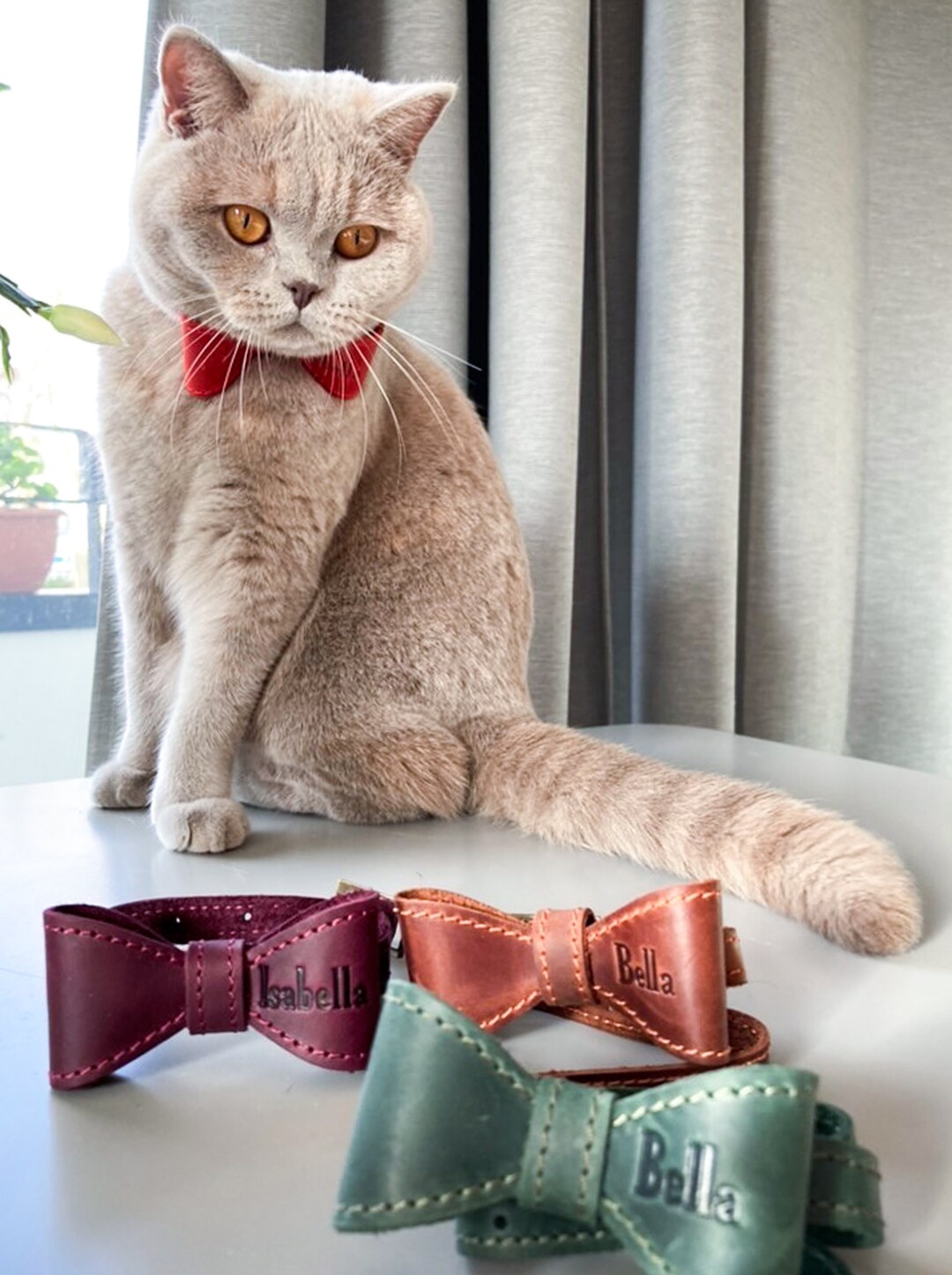 Personalized Leather Cat Collar Bowtie - Custom Engraved Pet Collar - Etsy