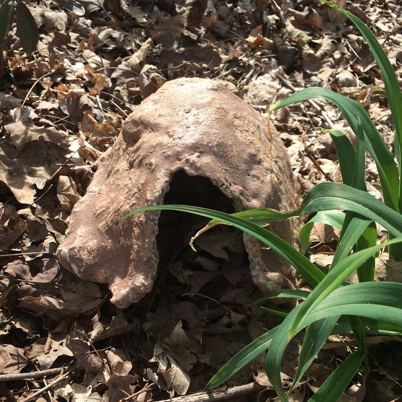 Reptile Hide - Etsy