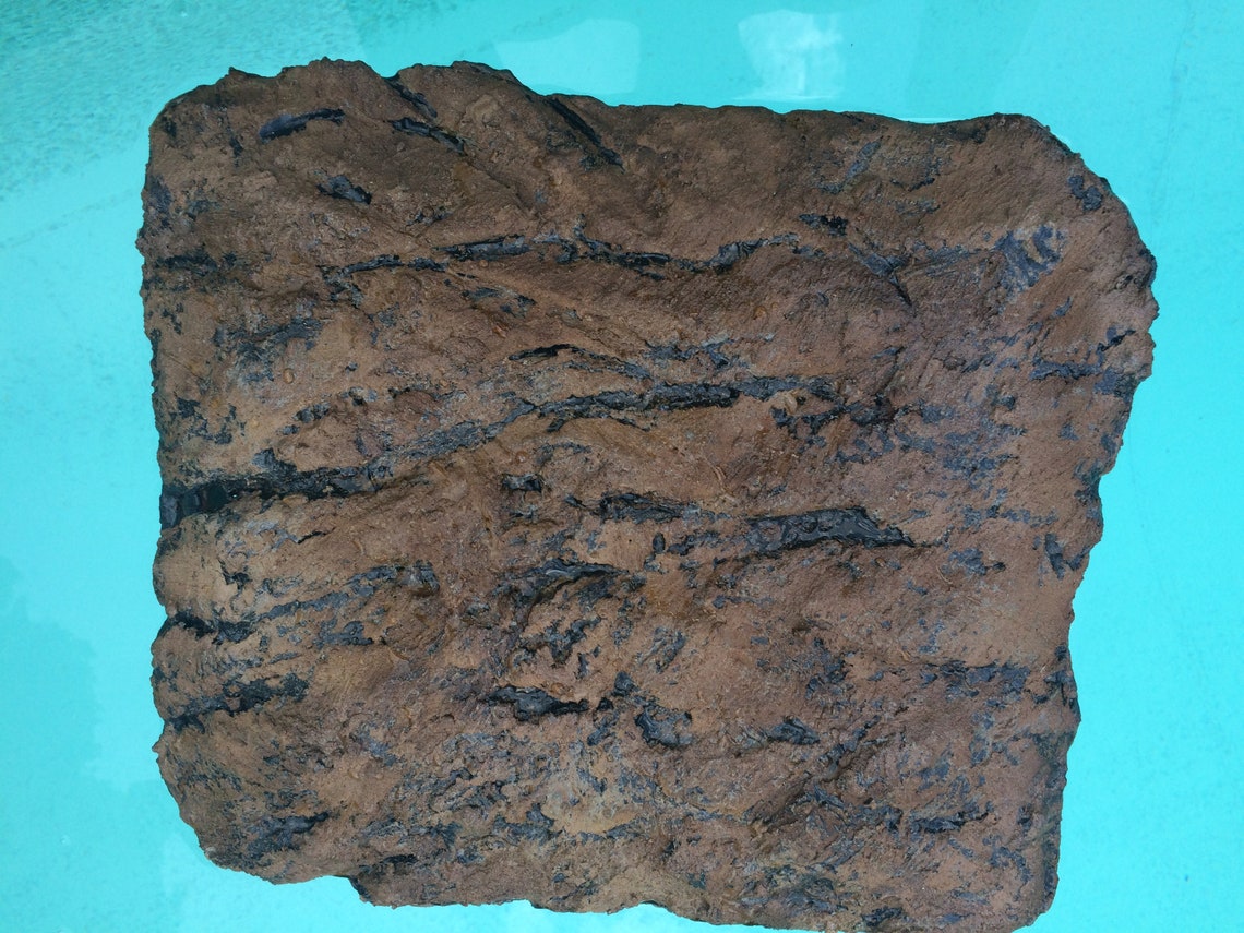 TURTLE RAFT BARK Basking Floating Dock for Red Eared Slider - Etsy