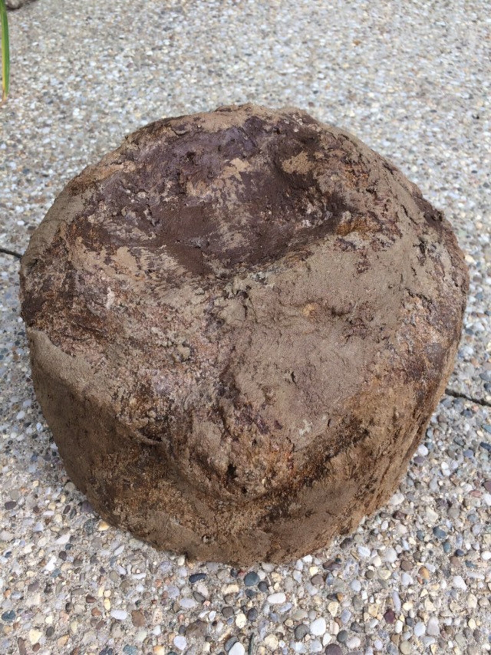 Custom Rock Reptile Hide Realistic Natural Habitat Home Made With Stone ...