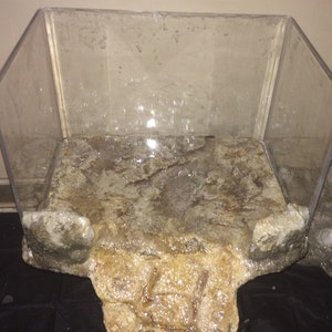 LARGE Turtle Basking Platform Dock Ramp for Over the Tank, Turtle Dock ...