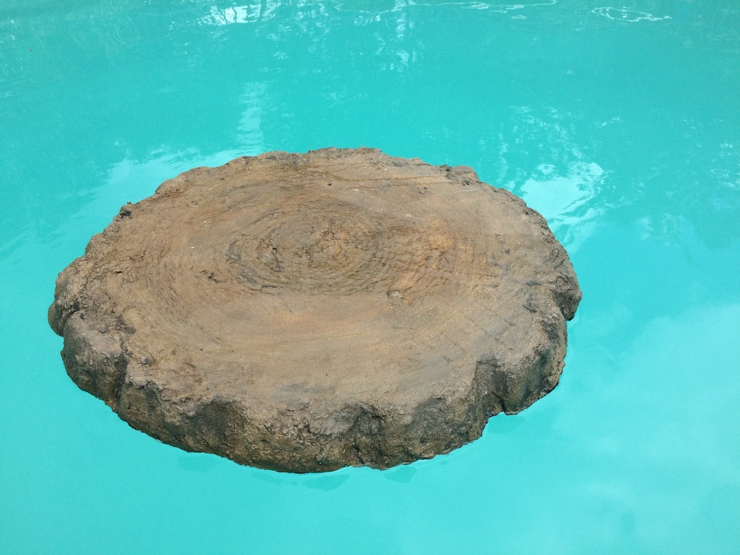 Extra Large Turtle Basking Platform, Stone-coated Floating Pond Raft - Etsy