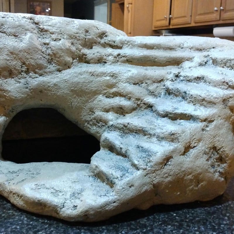 Bearded Dragon Hide - Etsy