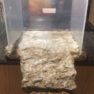 LARGE Turtle Basking Platform Dock Ramp for Over the Tank, Turtle Dock ...