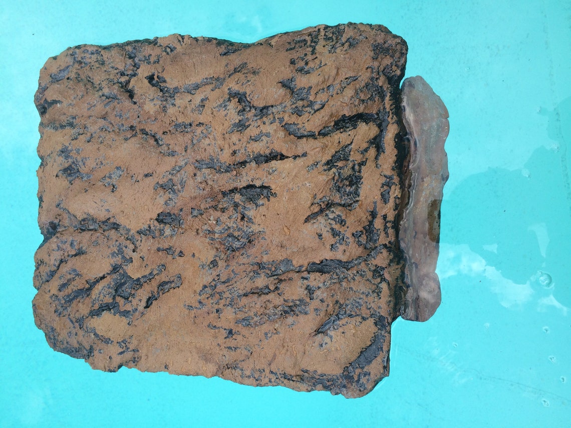 TURTLE RAFT BARK Basking Floating Dock for Red Eared Slider - Etsy