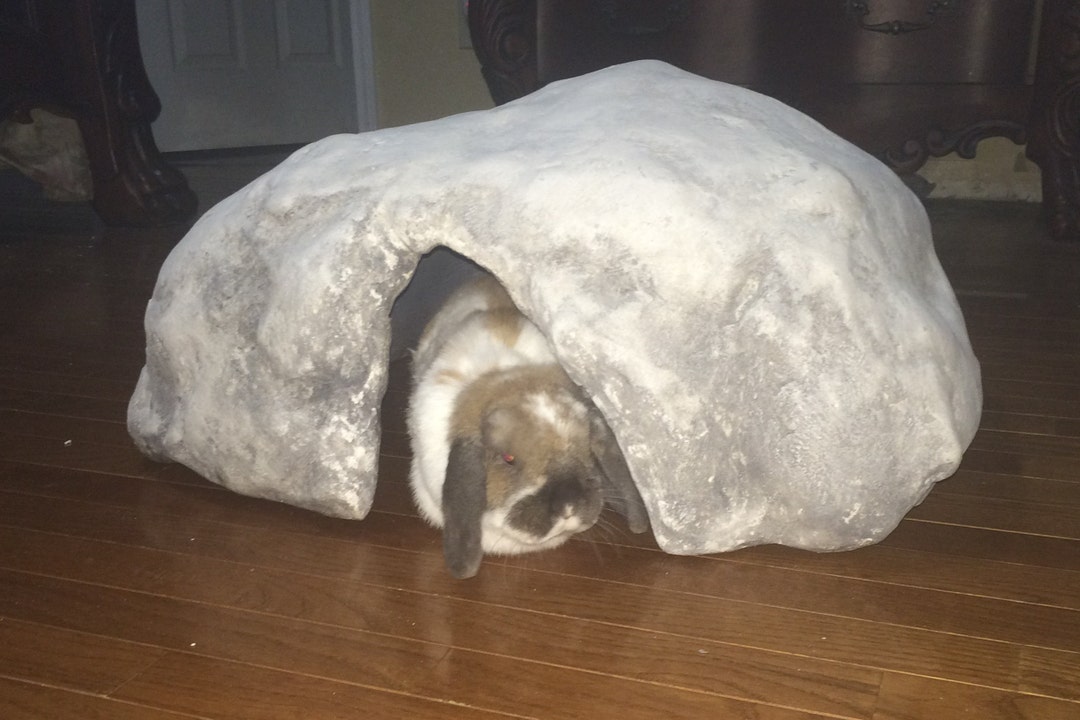 Extra Large Reptile Tortoise Hide, Made to Order, Realistic Natural ...