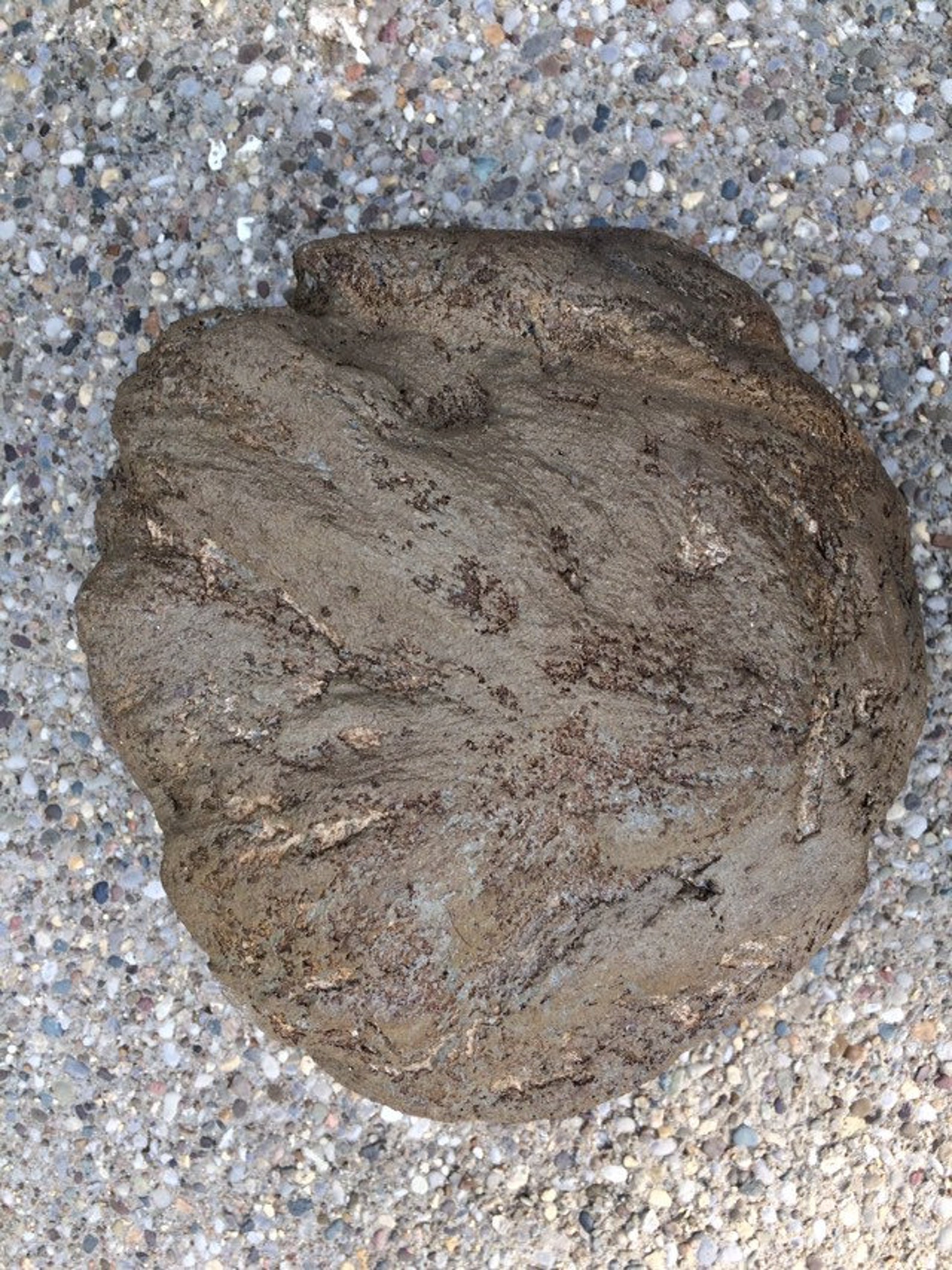 Custom Rock Reptile Hide Realistic Natural Habitat Home Made With Stone ...