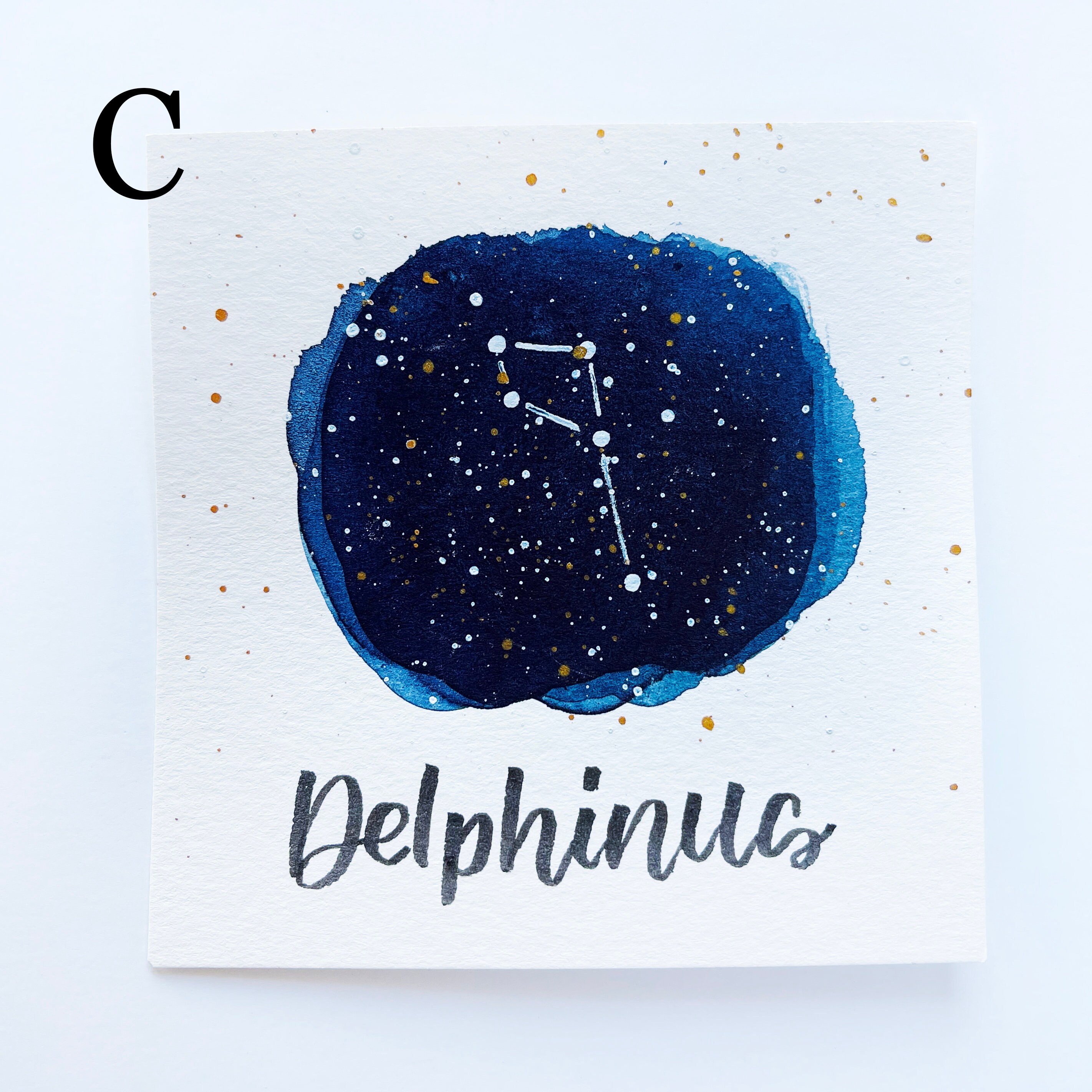 Delphinus Constellation