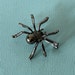 Black Rhinestone Spider Pin Halloween Spider Pin Spider - Etsy
