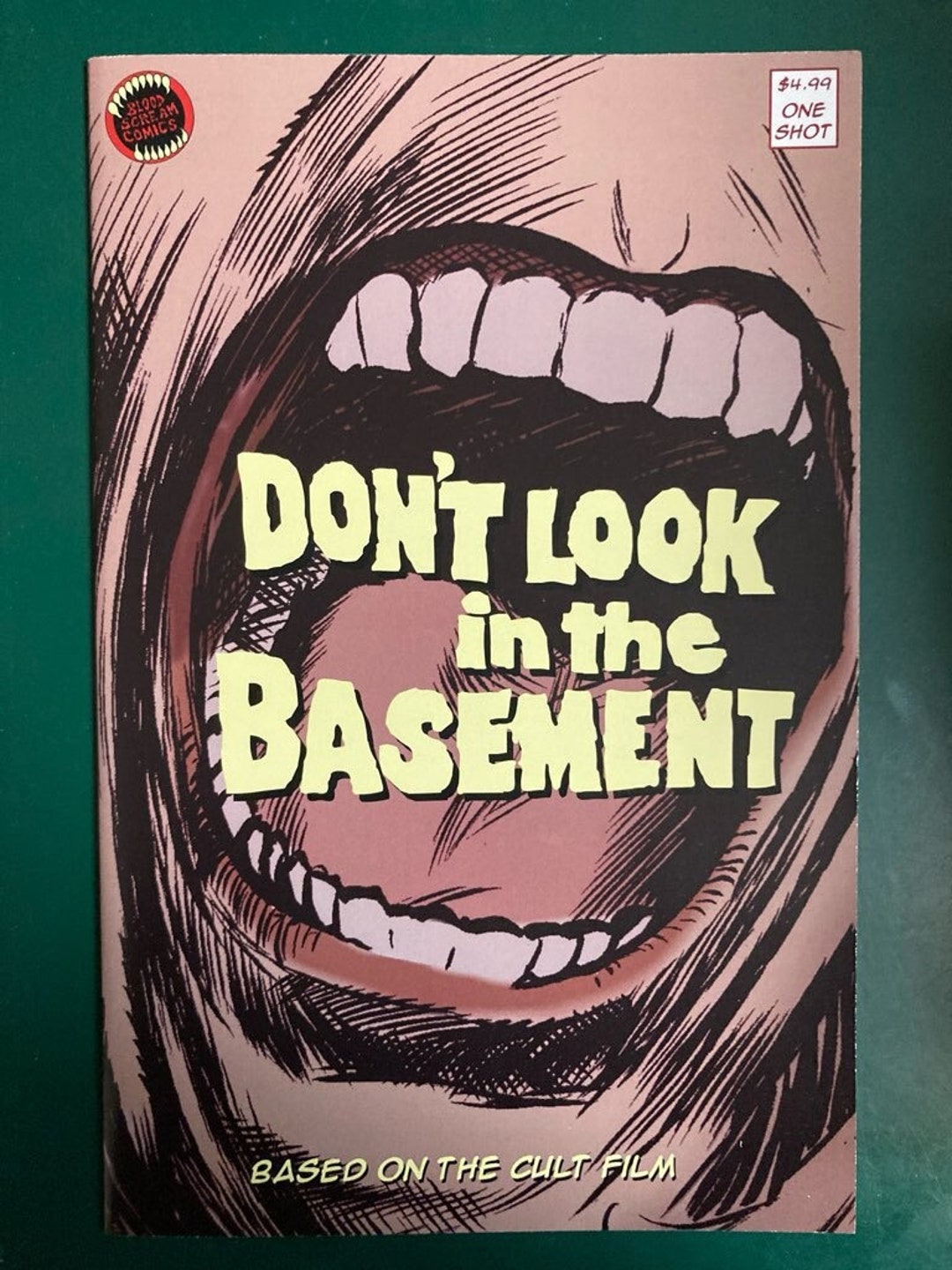 Don't Look in the Basement Comic by Blood Scream Comics - Etsy